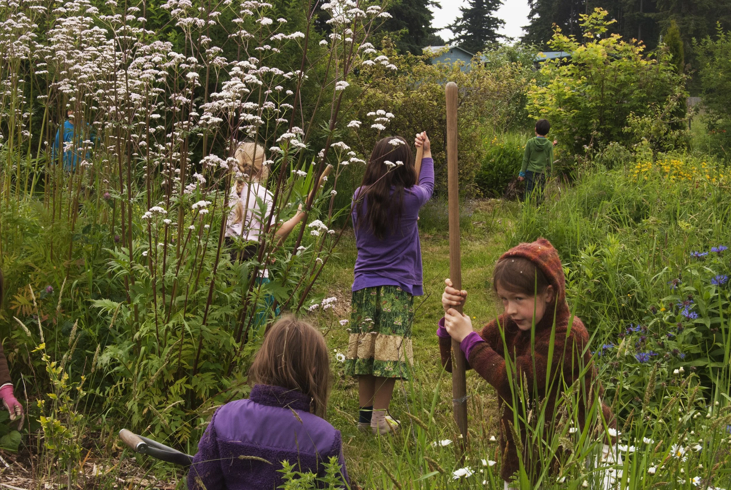 Sunfield Education Association