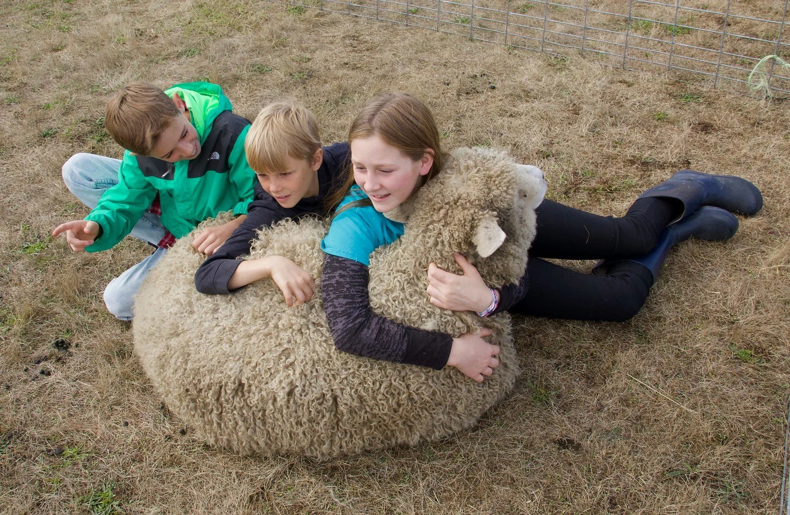 Sunfield Education Association