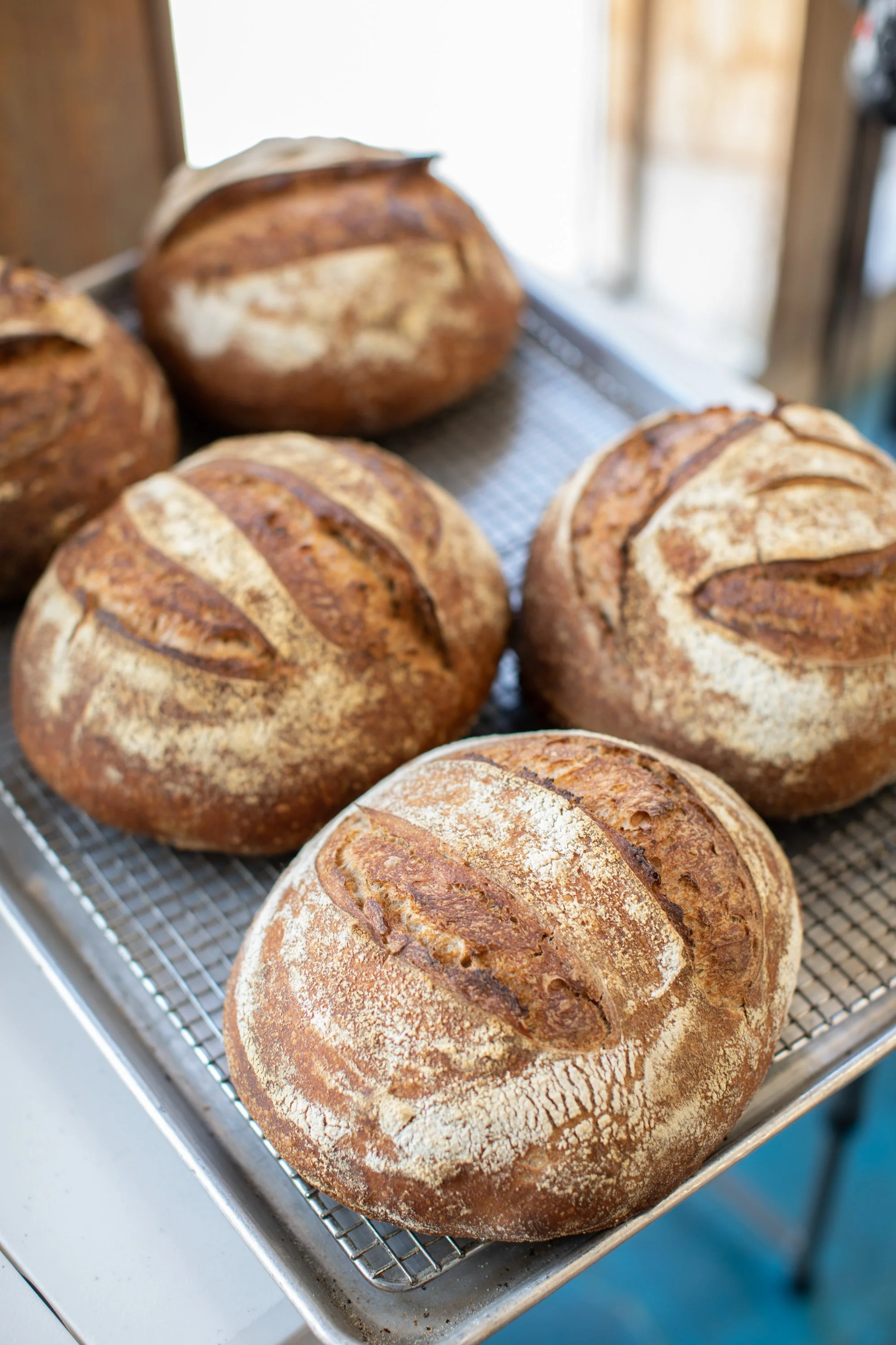 Photos — Country Bird Bakery — Storytelling through Baking in Tulsa ...