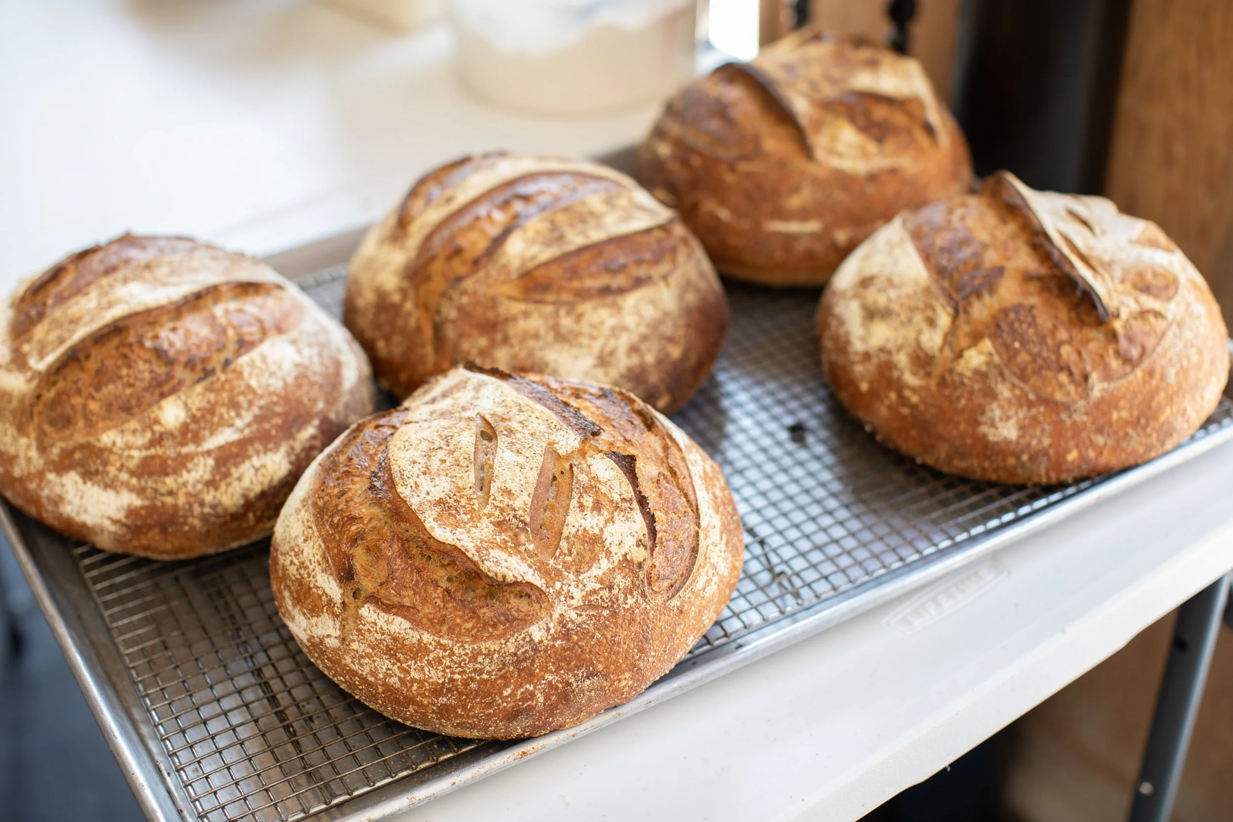 Photos — Country Bird Bakery — Storytelling through Baking in Tulsa ...