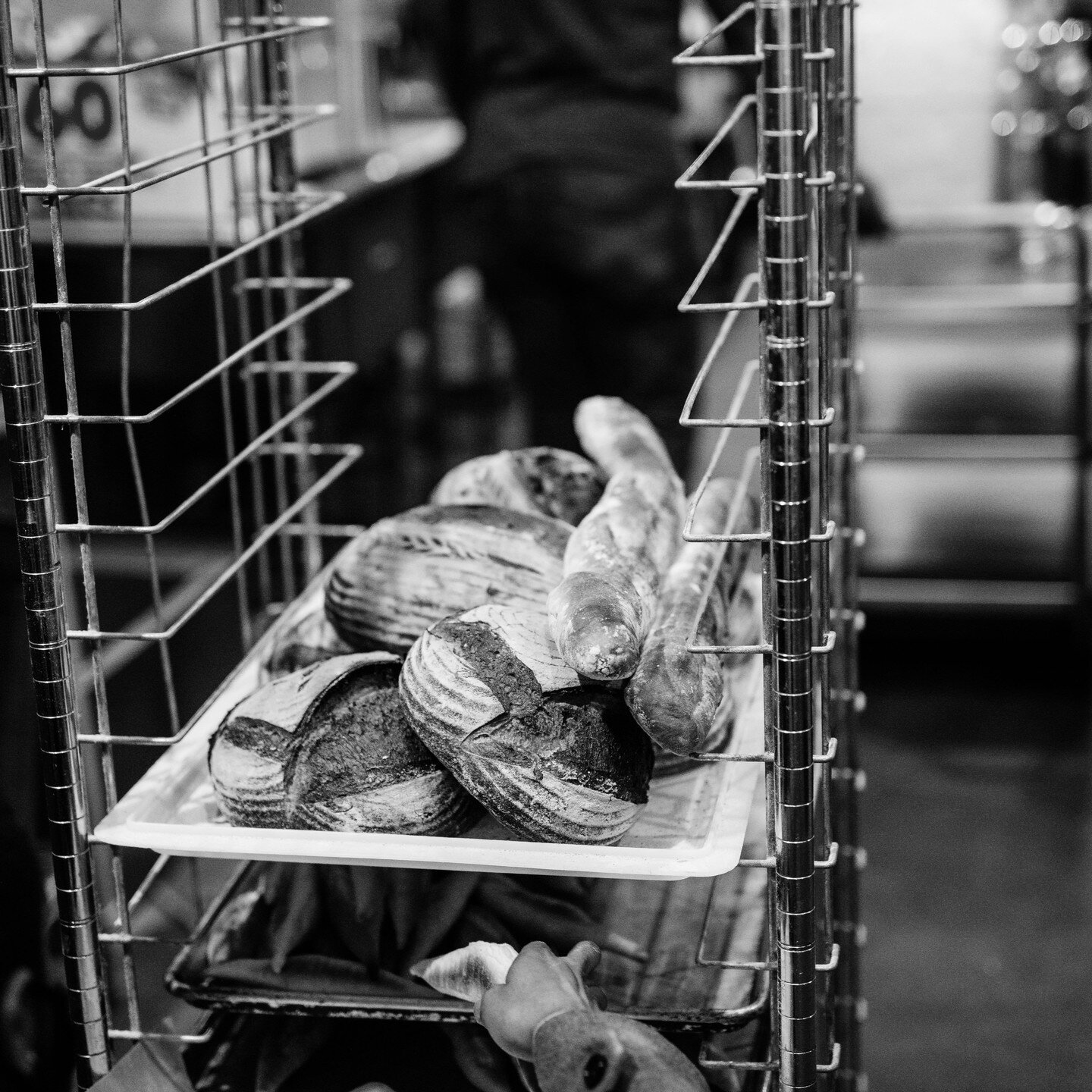 Star Provisions
