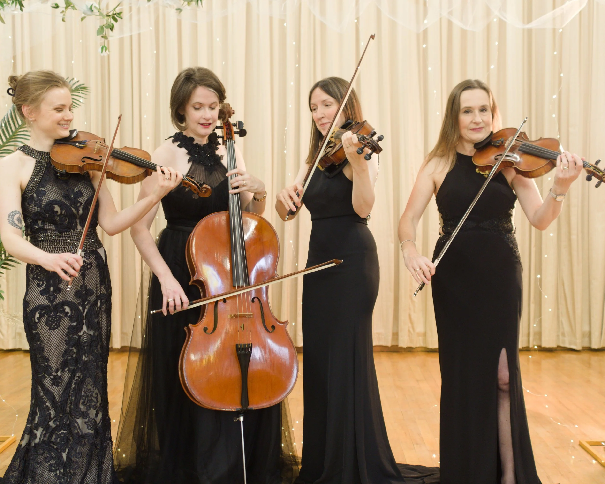 The Fern String Quartet