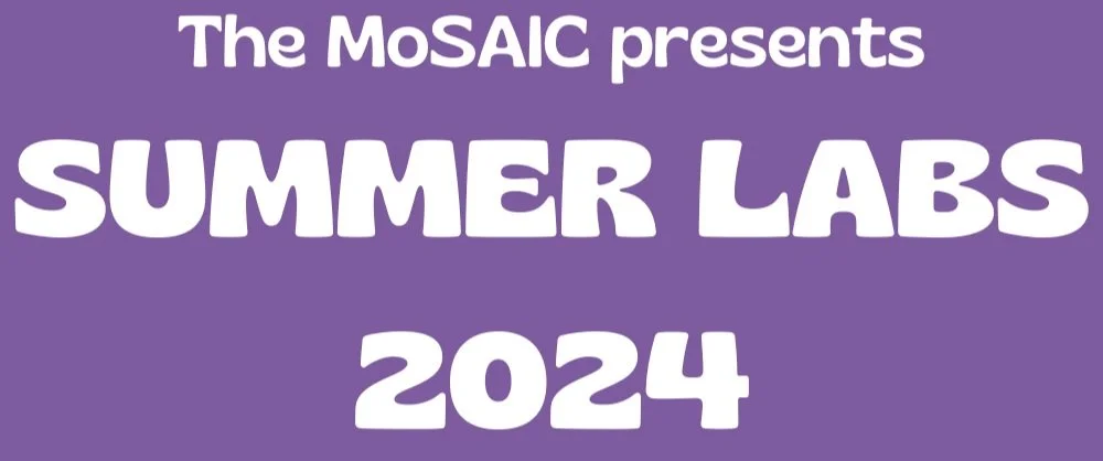 Summer Labs - The MoSAIC