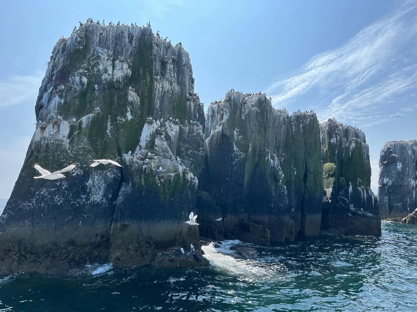 Top 10 Highlights on the Northumberland 250 — Tweed Valley Blogger ...