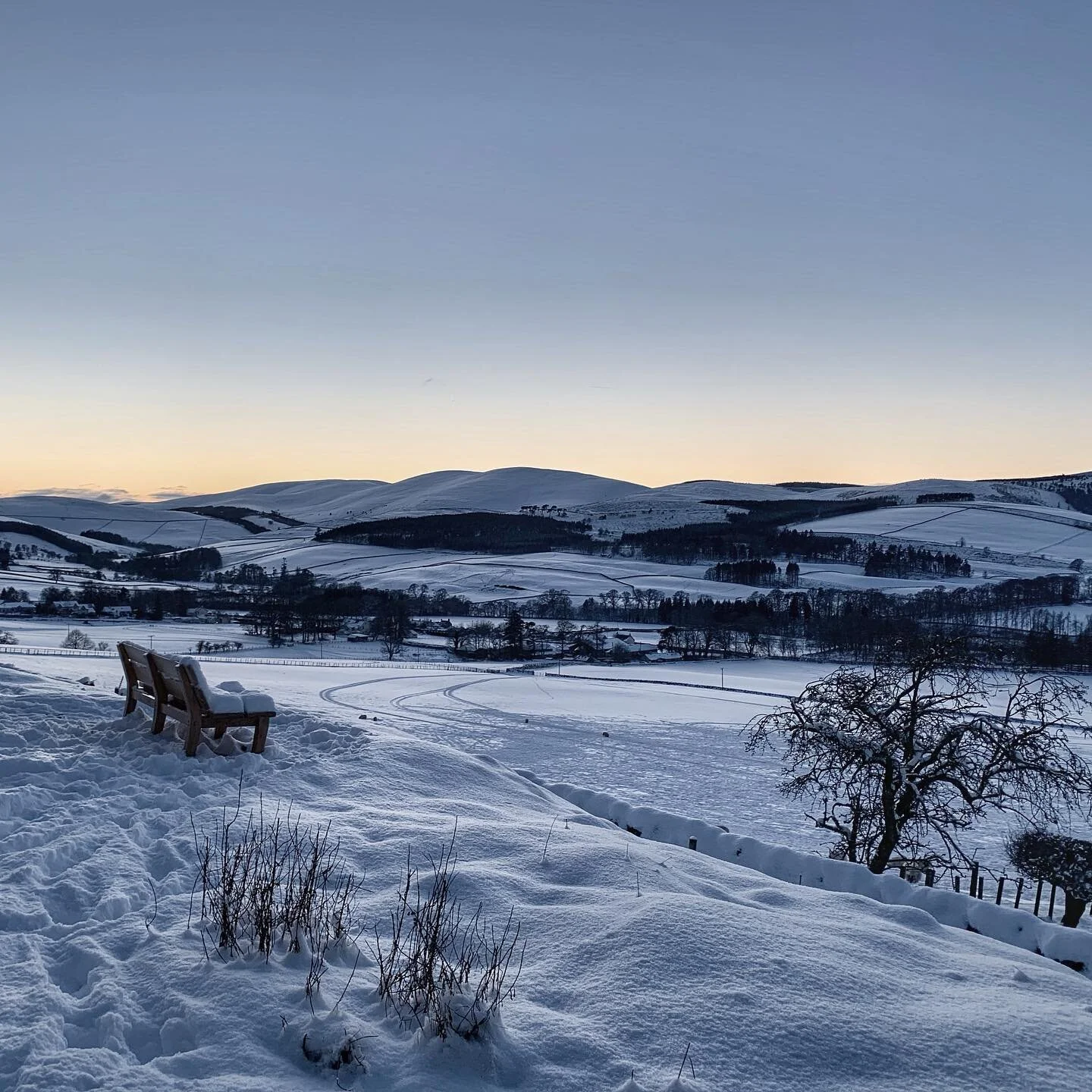 6 of the best Borders Winter Walks — Tweed Valley Blogger | TVB Tours ...