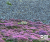 6 things to do in Upper Tweeddale — Tweed Valley Blogger | Tour Guide ...