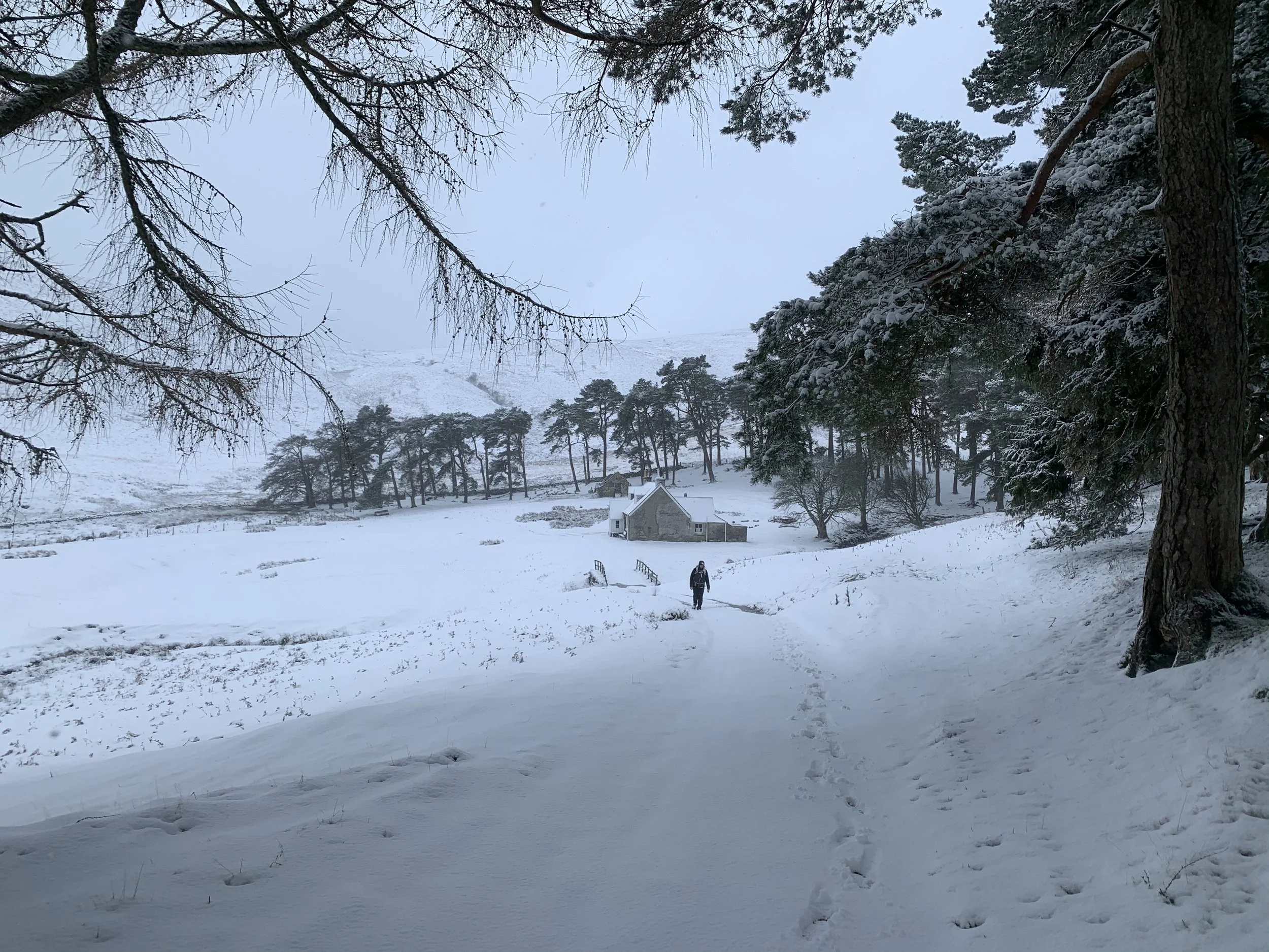 Winter Walks — Tweed Valley Blogger | Tour Guide | Scottish Borders