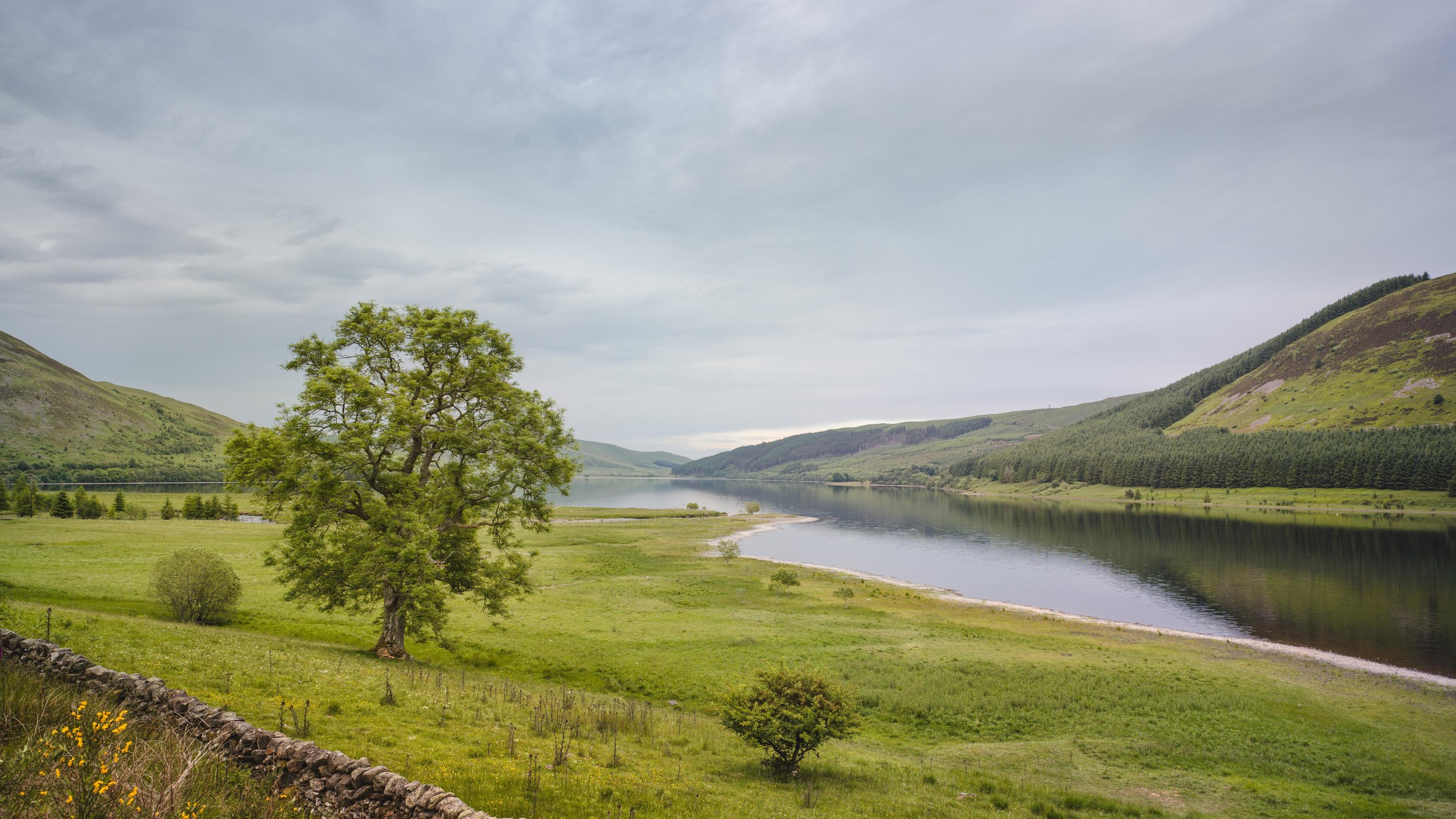 10 things you need to know about St. Mary’s Loch — Tweed Valley Blogger ...