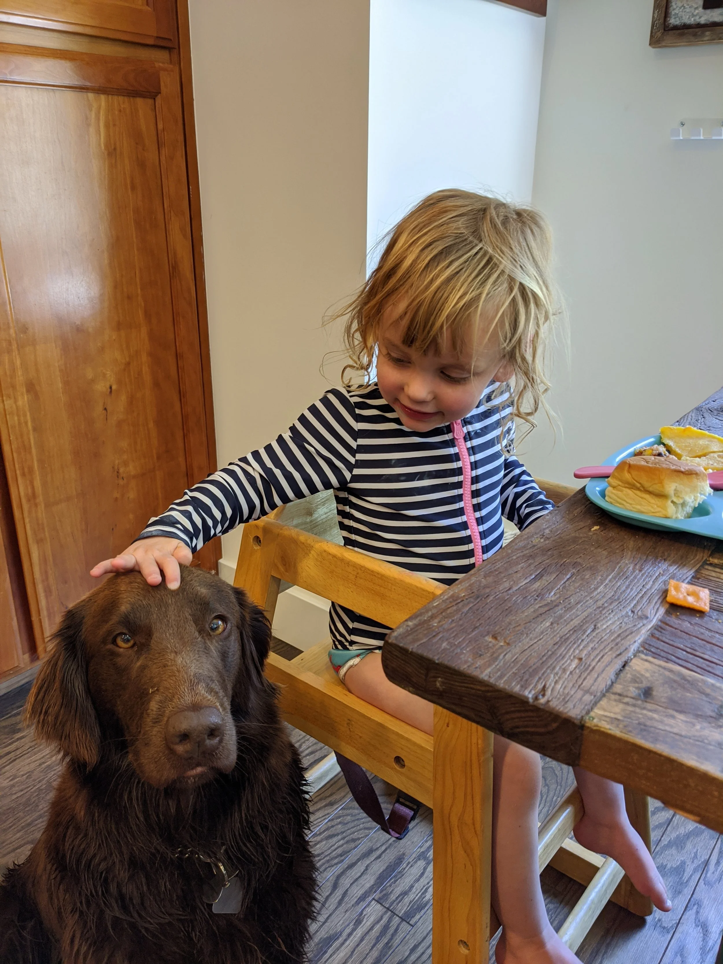 About 1 — Quail Run Flat-Coated Retrievers