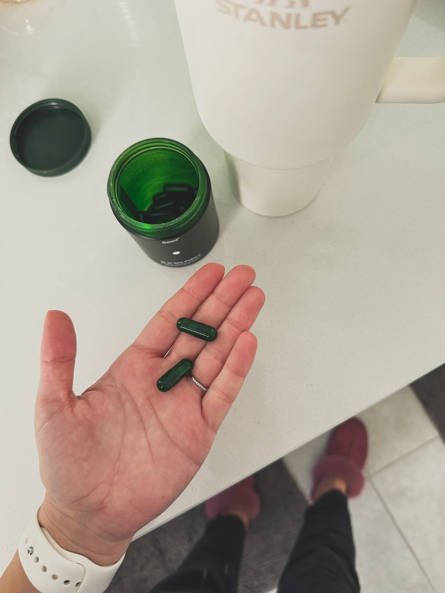 Seed Probiotics Review: My Honest Thoughts After 12 Months — Jazz Leaf