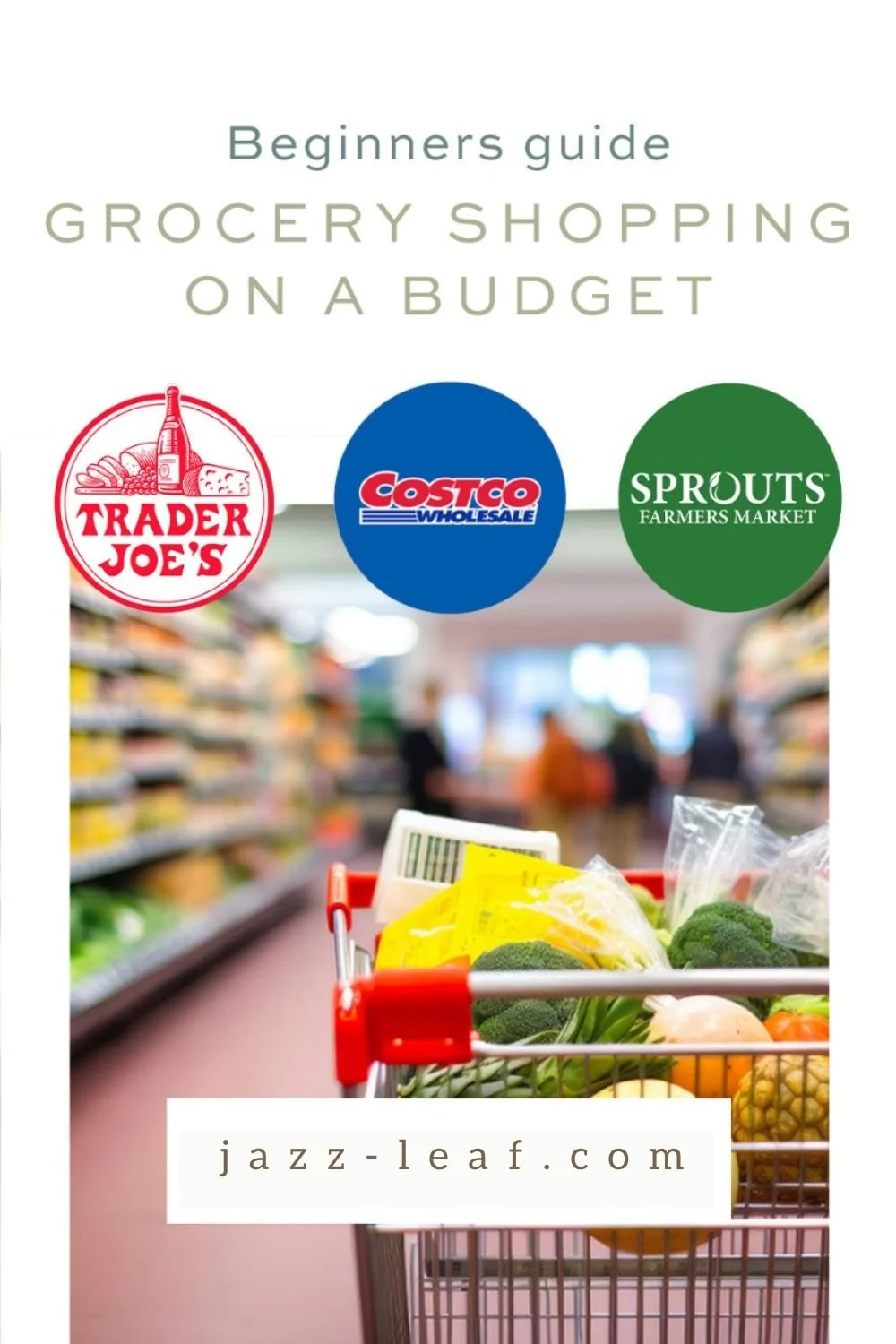Beginners guide to grocery shopping on a budget — Jazz Leaf