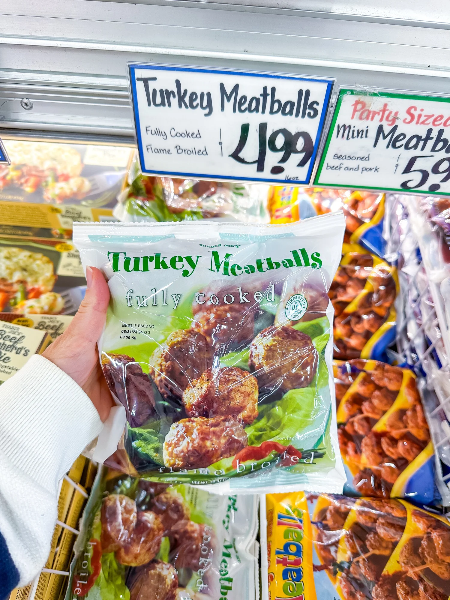 3 Ingredient Teriyaki Turkey Meatballs Recipe — Jazz Leaf