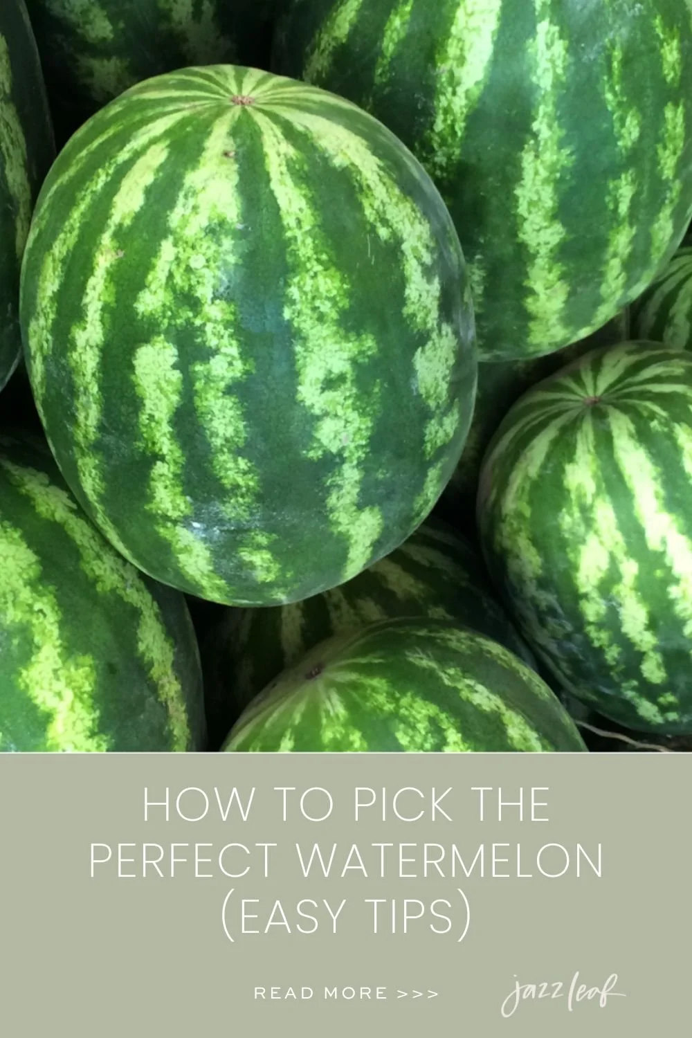 How to Pick the Perfect Watermelon (Easy Tips) — Jazz Leaf