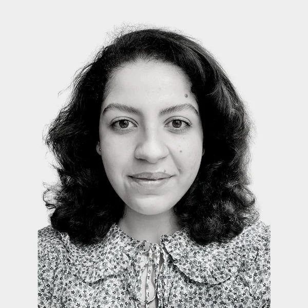 How we are run — Ground Truth Solutions