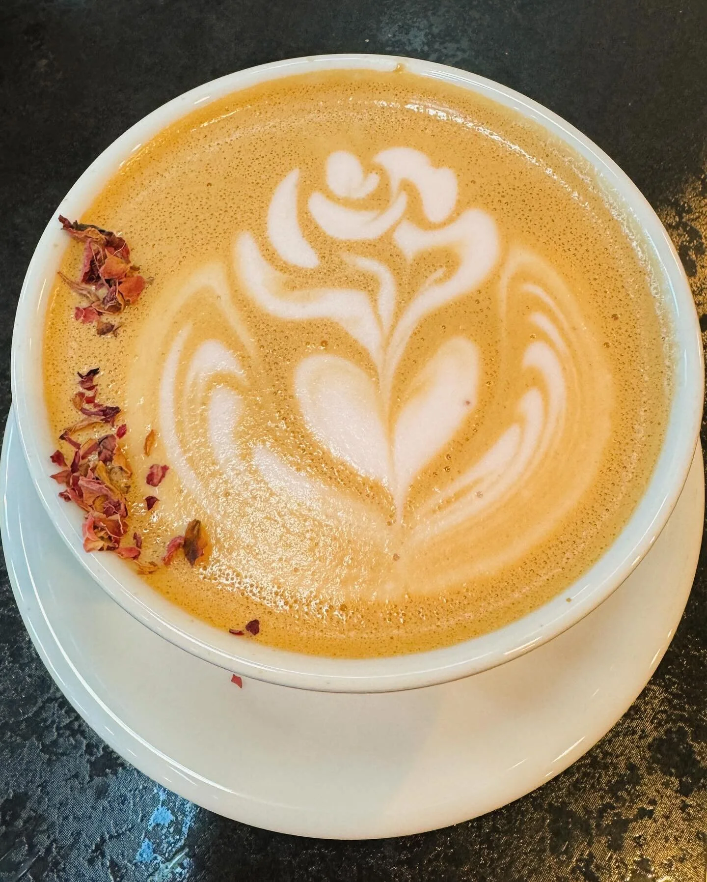 Winter Swan Coffee - Winter Swan Coffee