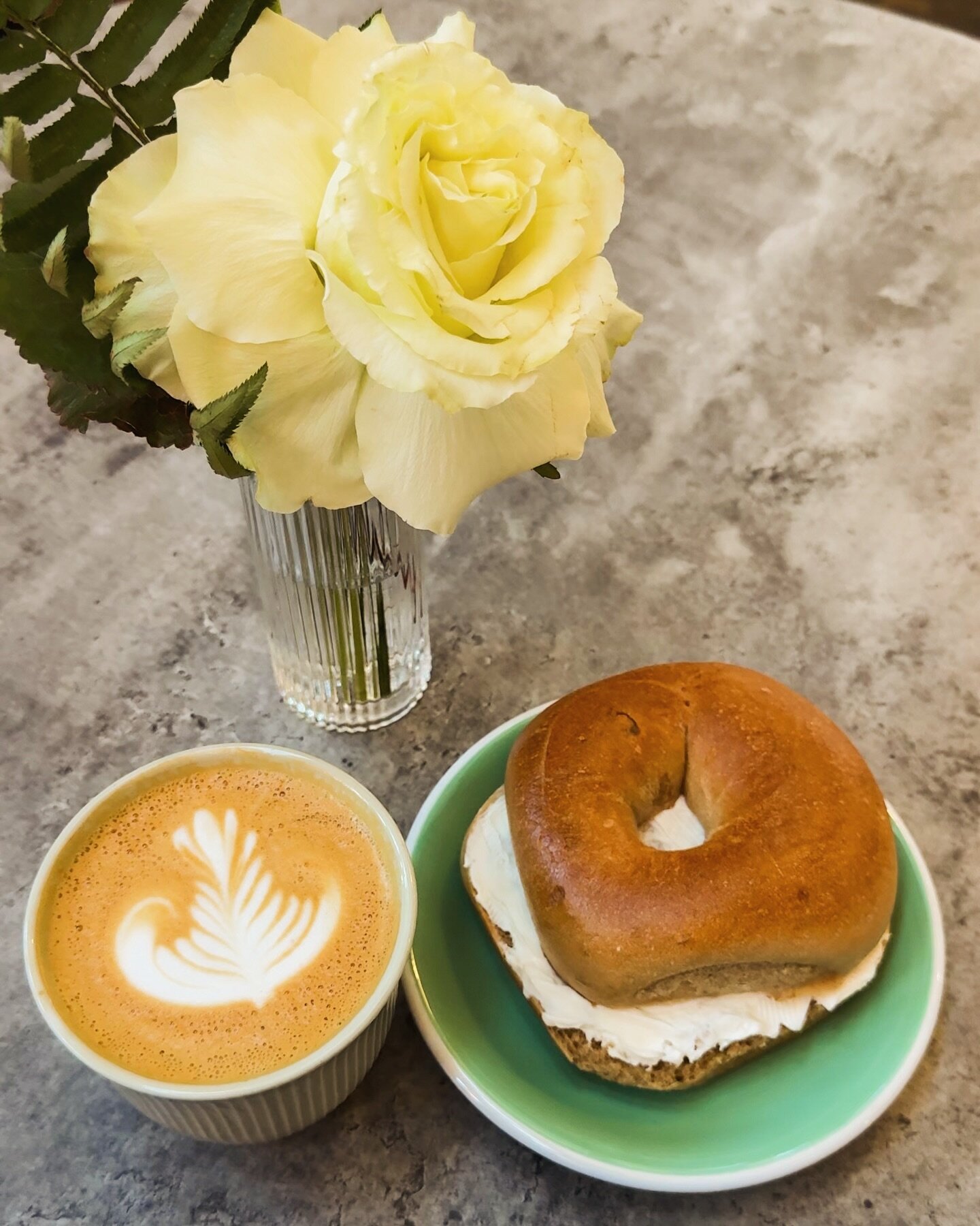 Winter Swan Coffee - Winter Swan Coffee