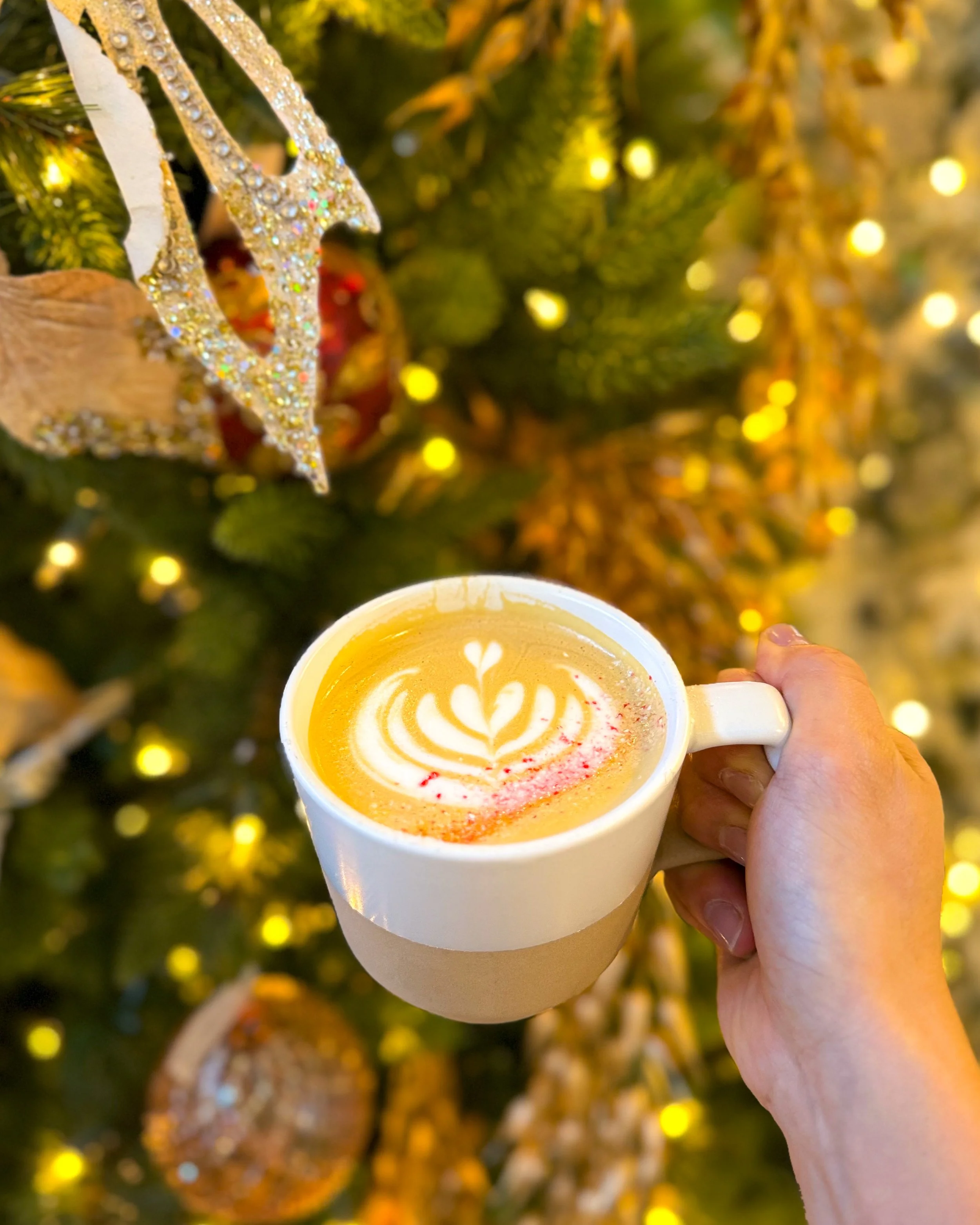 Winter Swan Coffee - Winter Swan Coffee
