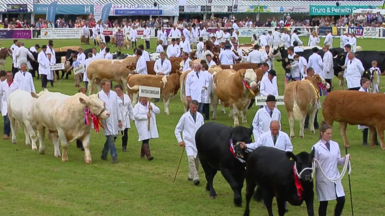 Cornwall Food Festivals 2025 — The Cornish Place