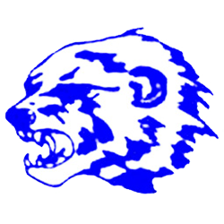 Ellwood City Wolverines