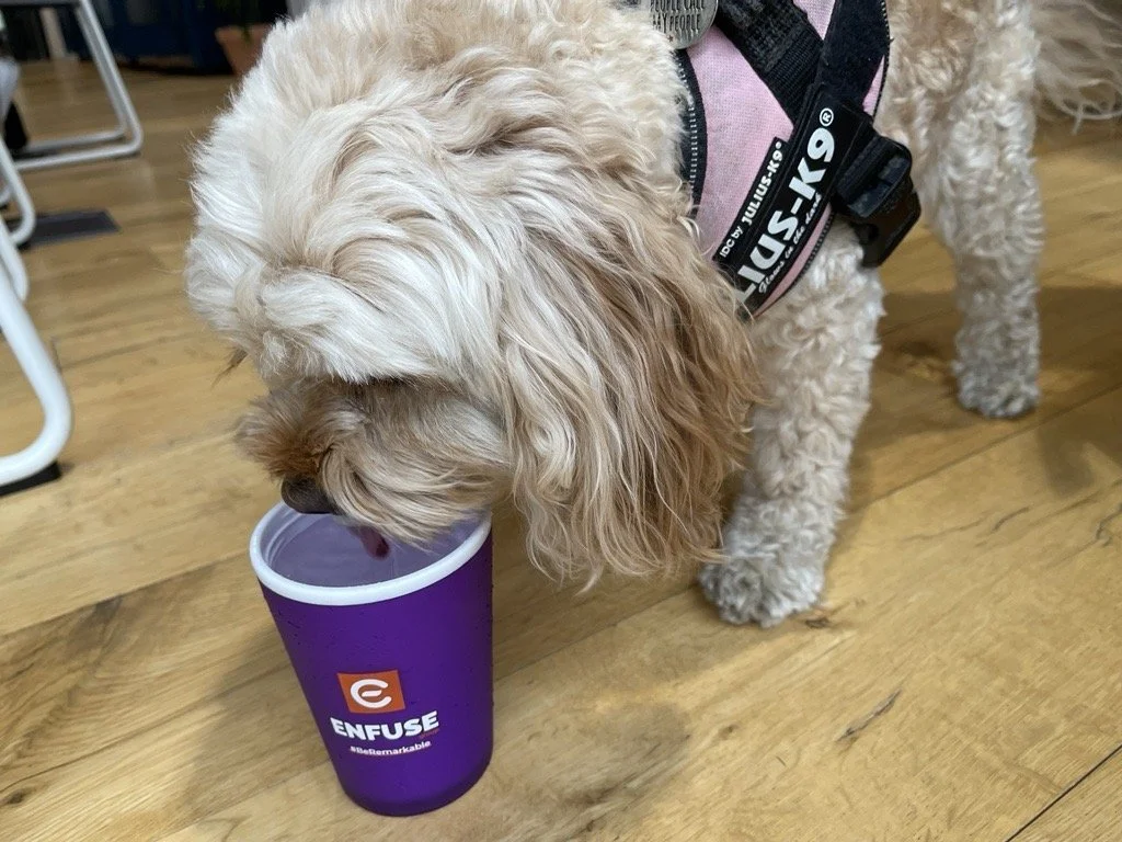 Life at Enfuse — Enfuse Group