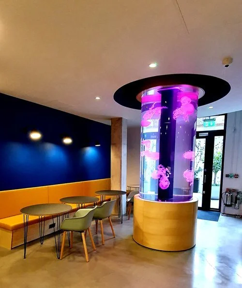 Commercial Aquarium Projects — RedFin Aquarium Design