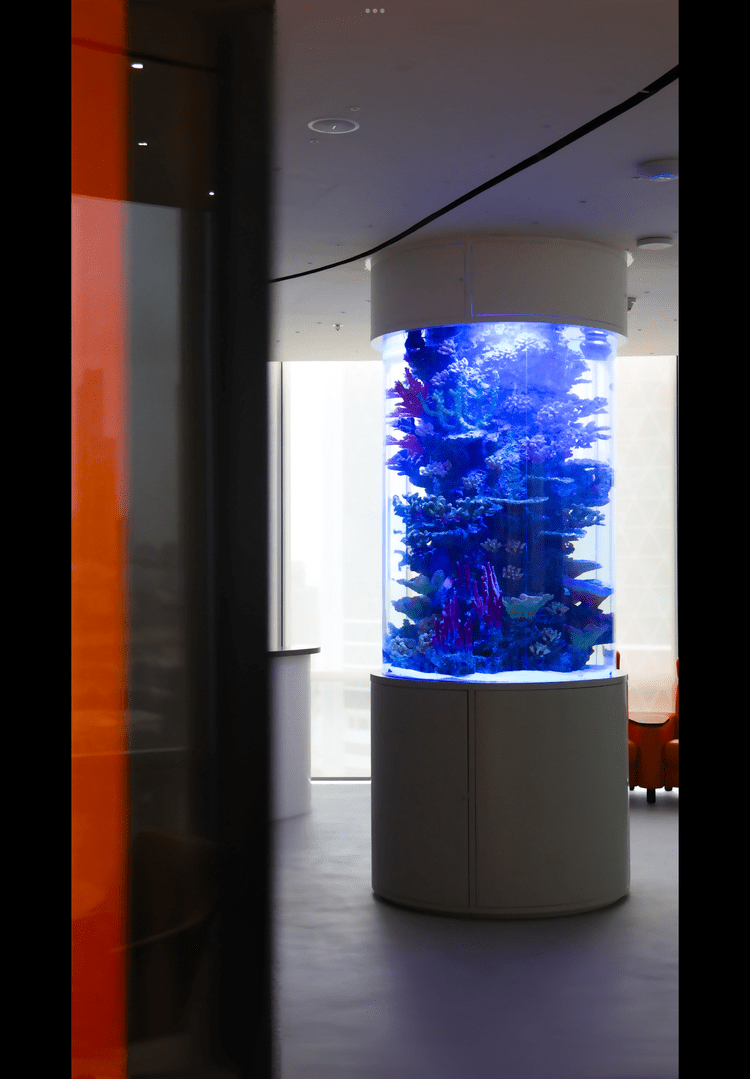 Commercial Aquarium Projects — RedFin Aquarium Design