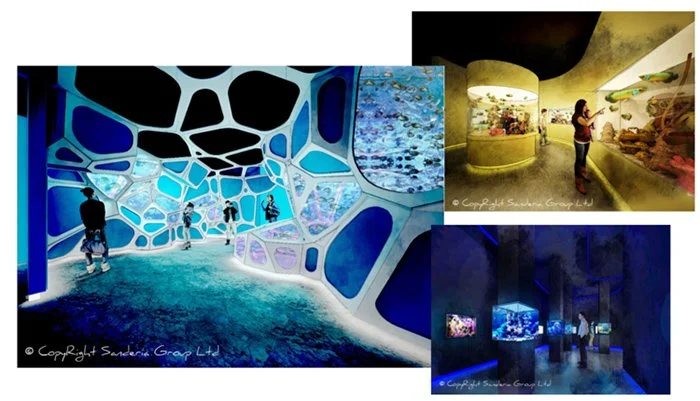 Aquarium Design Services — RedFin Aquarium Design