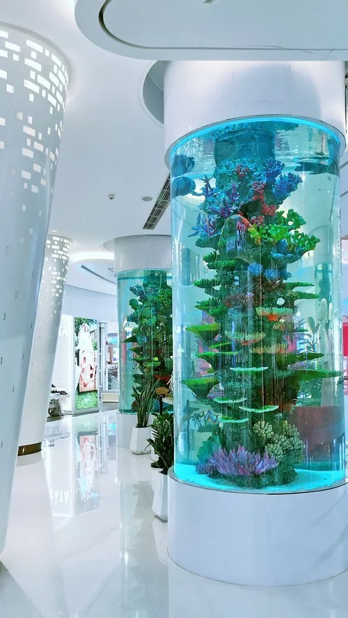 Commercial Aquarium Projects — RedFin Aquarium Design