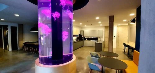 Commercial Aquarium Projects — RedFin Aquarium Design