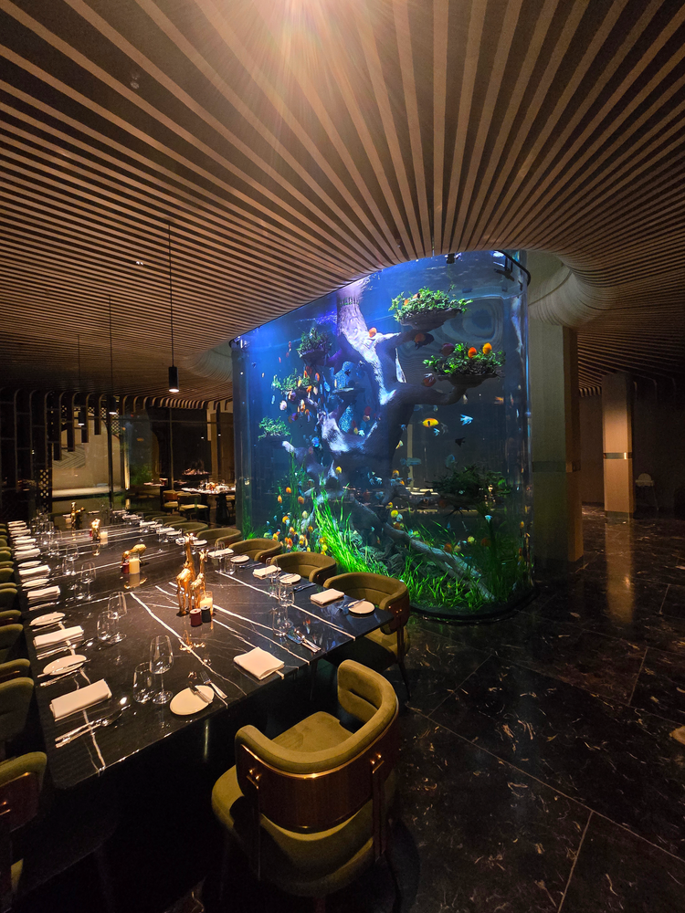 Commercial Aquarium Projects — RedFin Aquarium Design