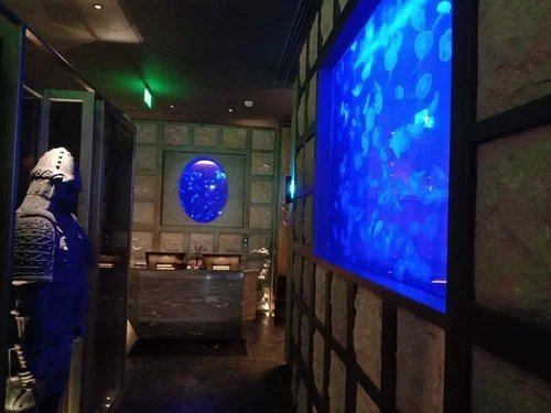 Commercial Aquarium Projects — RedFin Aquarium Design