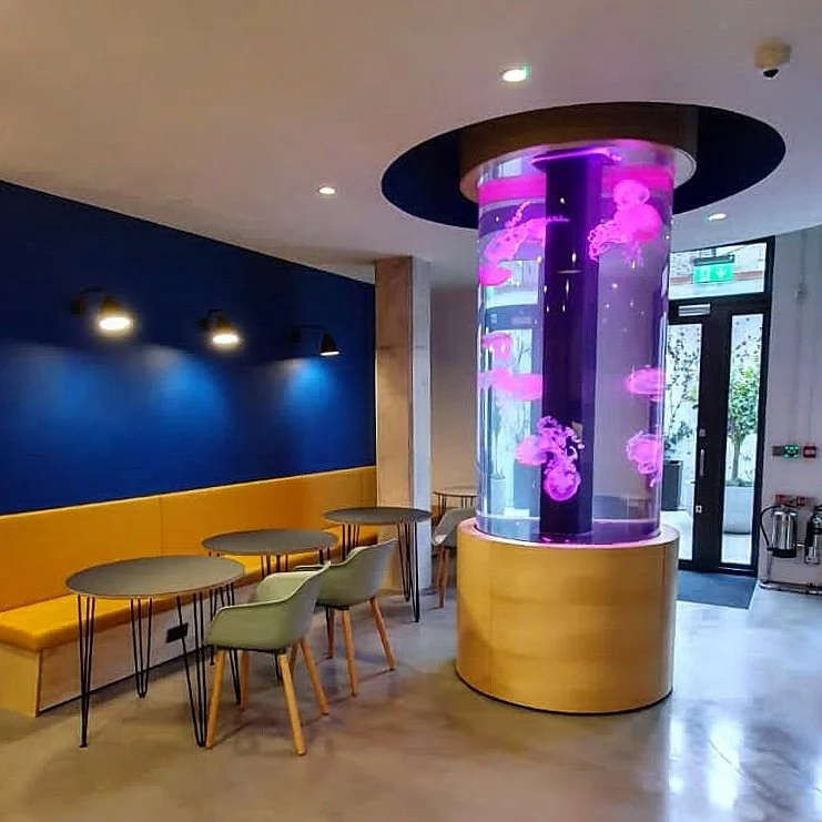 Commercial Aquarium Projects — RedFin Aquarium Design