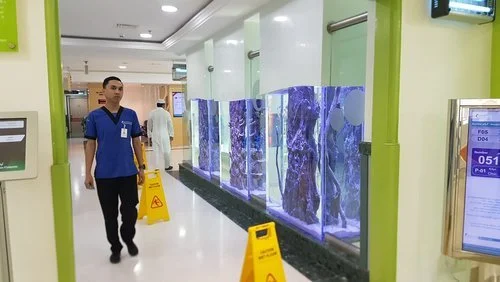 Commercial Aquarium Projects — RedFin Aquarium Design