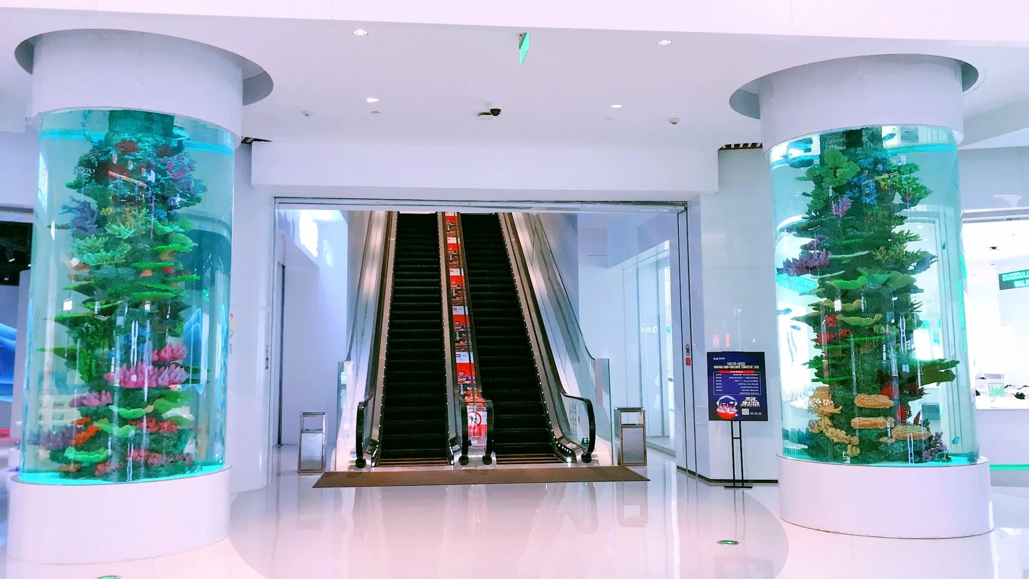 Commercial Aquarium Projects — RedFin Aquarium Design