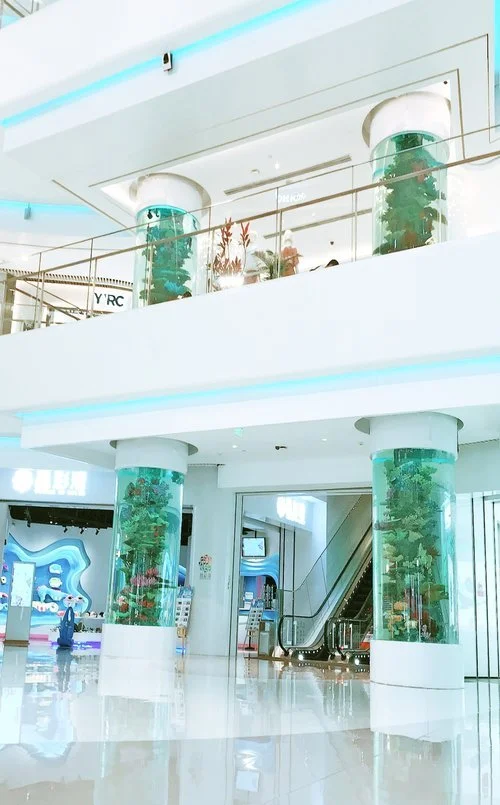 Commercial Aquarium Projects — RedFin Aquarium Design