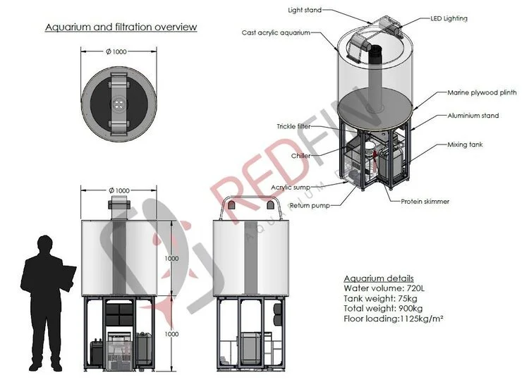 Custom-made Cylinder tank fish — RedFin Aquarium Design