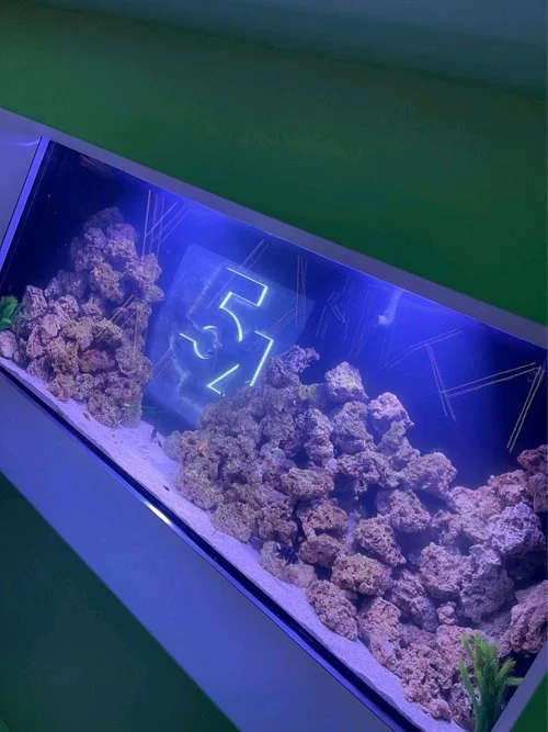 Commercial Aquarium Projects — RedFin Aquarium Design