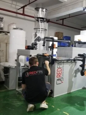 Aquarium Construction Services — RedFin Aquarium Design