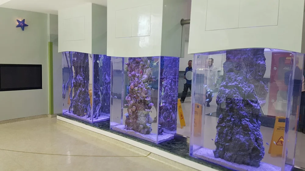 Commercial Aquarium Projects — RedFin Aquarium Design