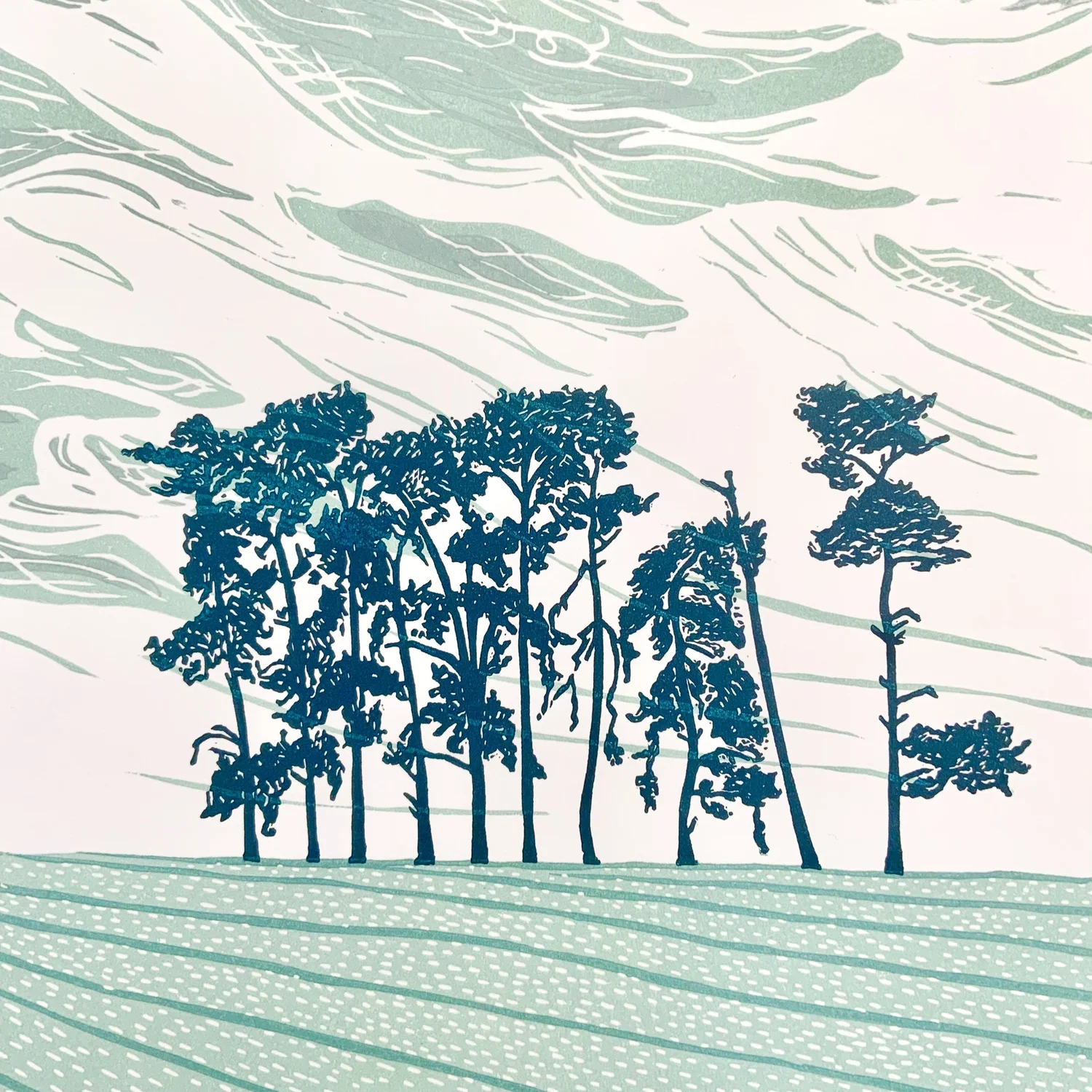 Shop — Caroline Buckman Prints