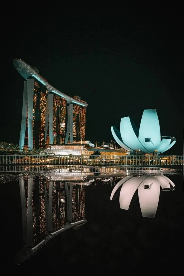 Everything You Need to Know About Business Licenses in Singapore ...