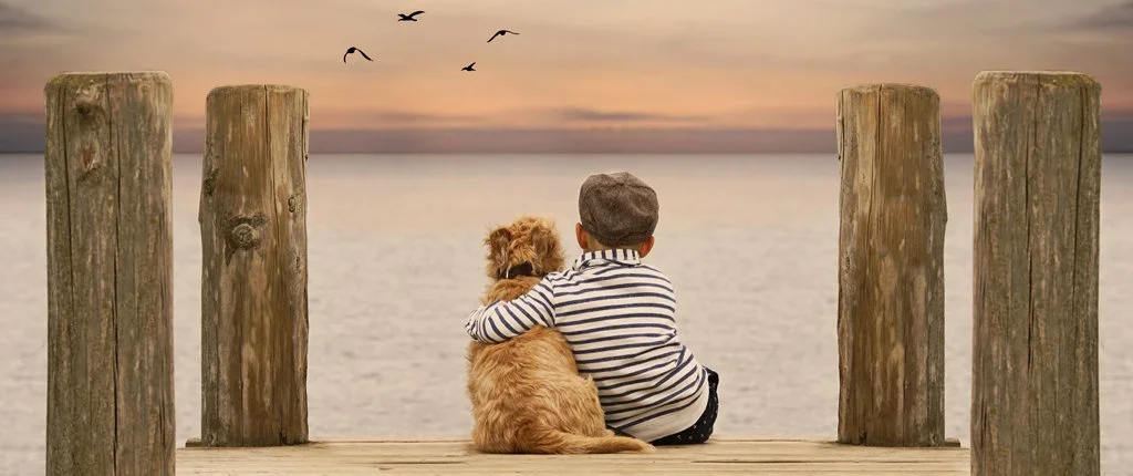 Our Story — Legacy Pet Crematorium