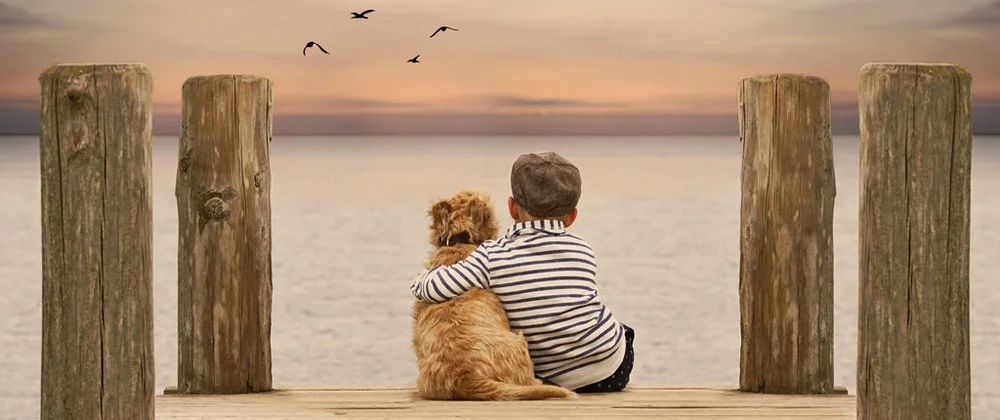 Our Story — Legacy Pet Crematorium