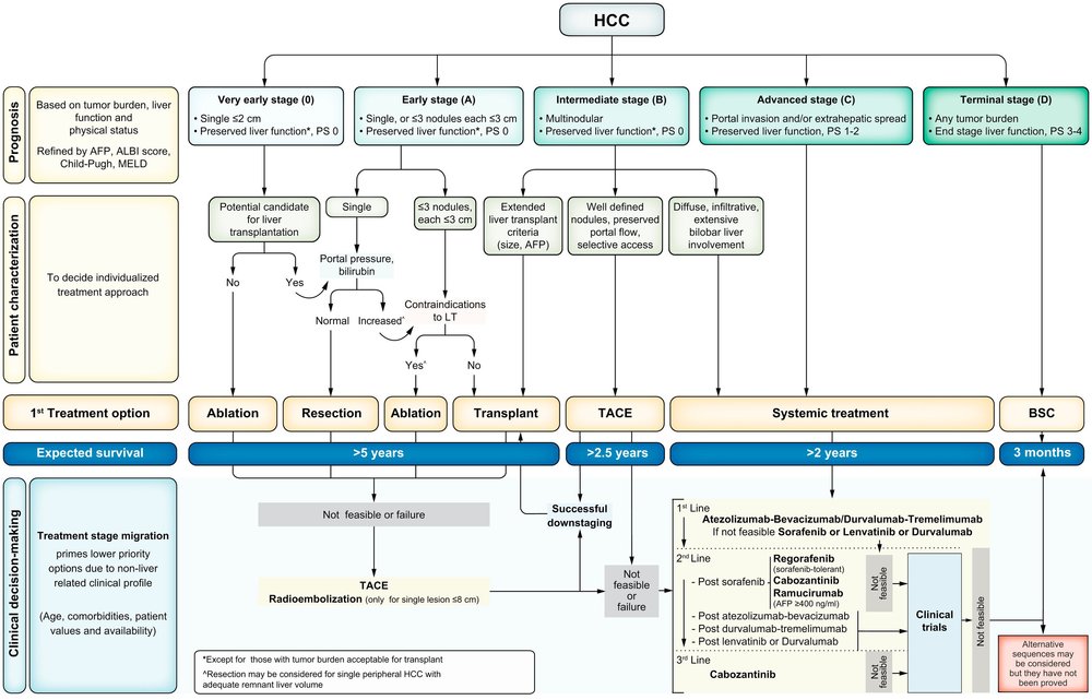 Liver Cancer Work Up — Learn IR