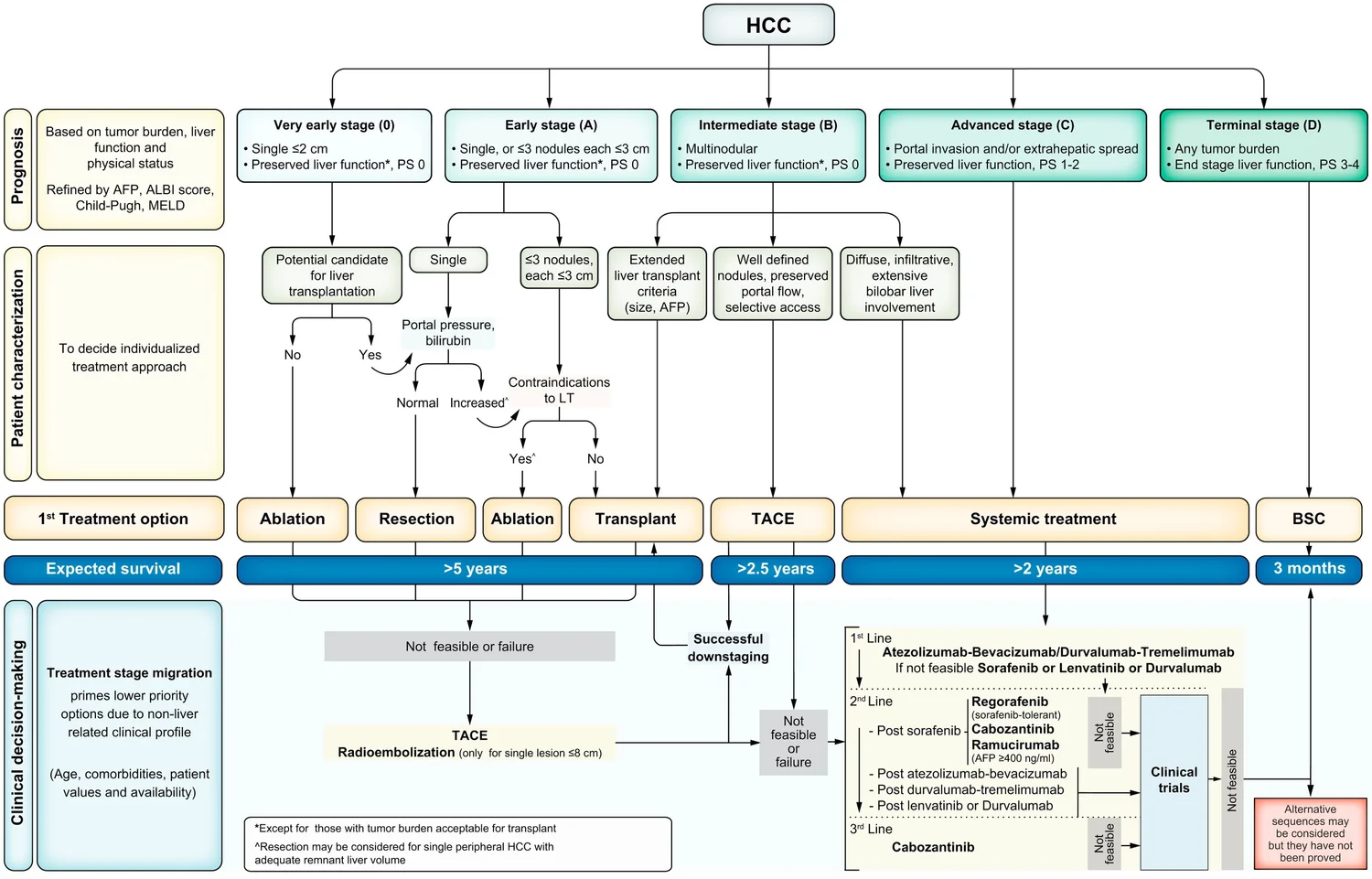 Liver Cancer Work Up — Learn IR