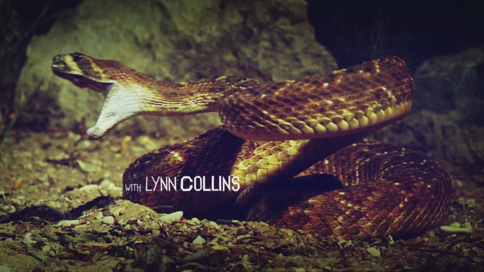 HBO True Blood Main Title Sequence — Plains of Yonder — Plains of Yonder