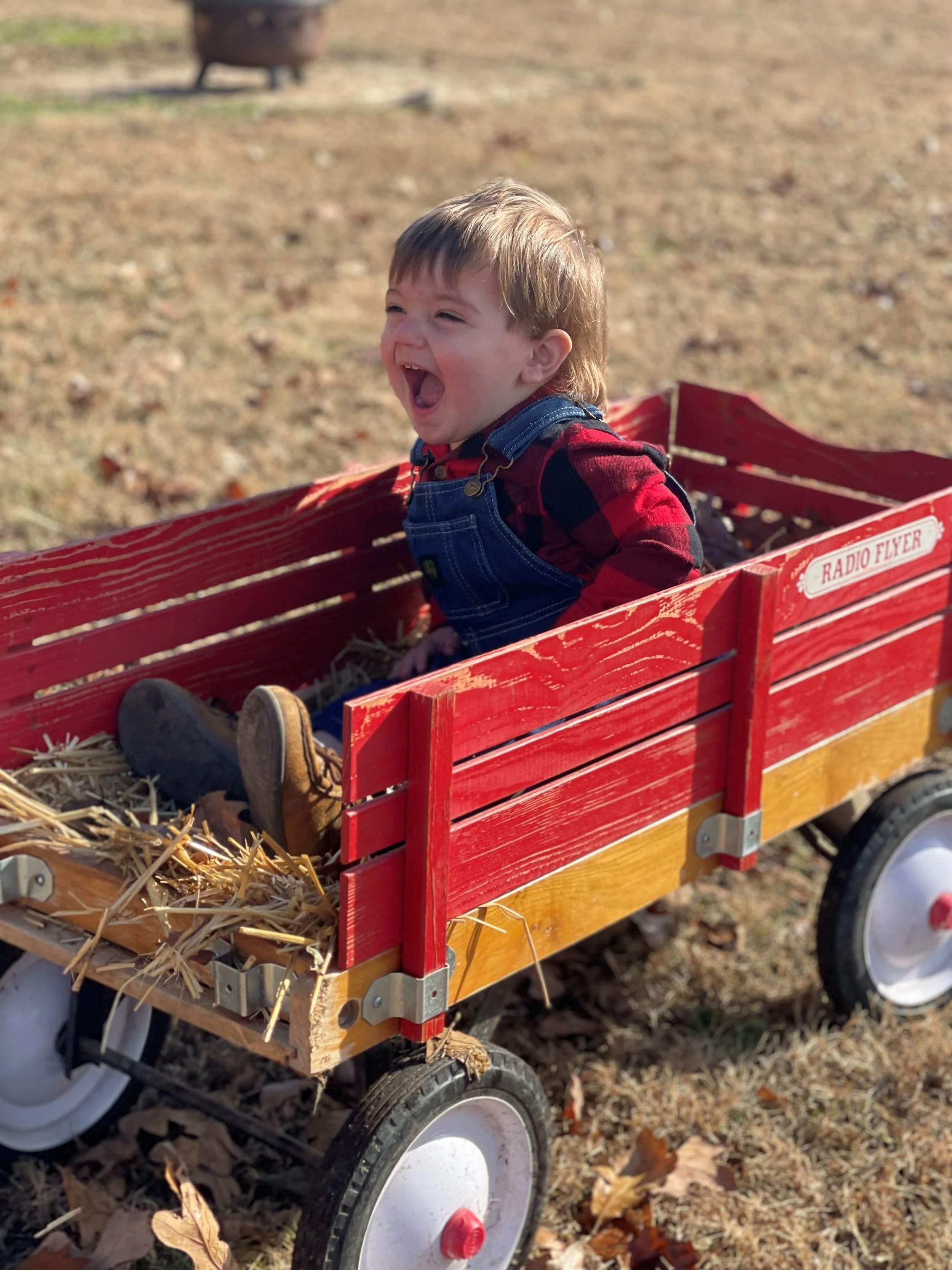 About — C3 Cattle Company