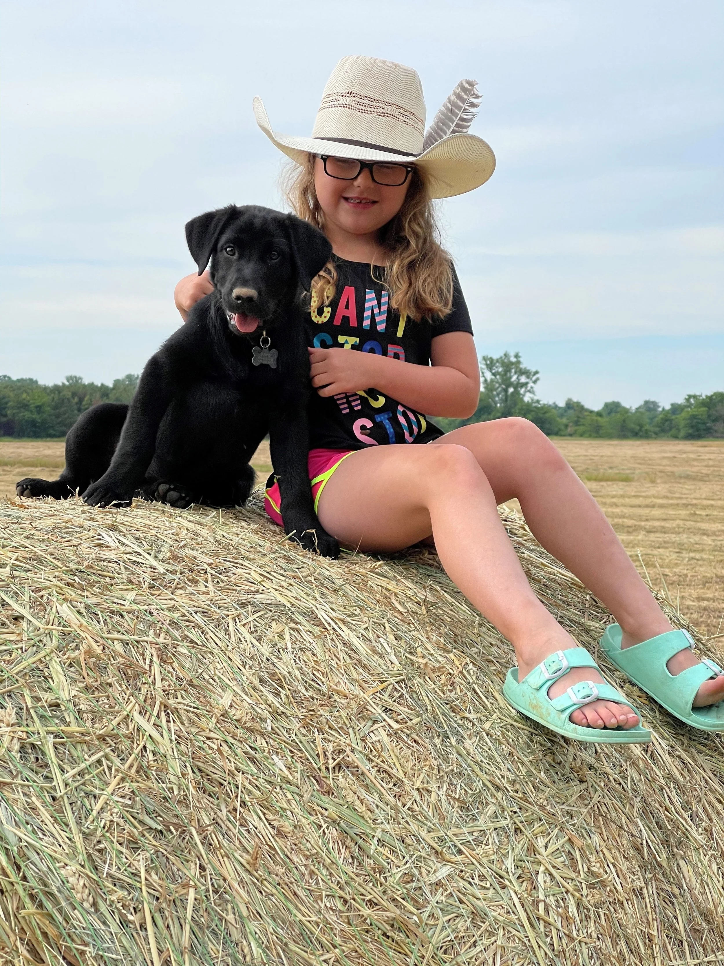 About — C3 Cattle Company