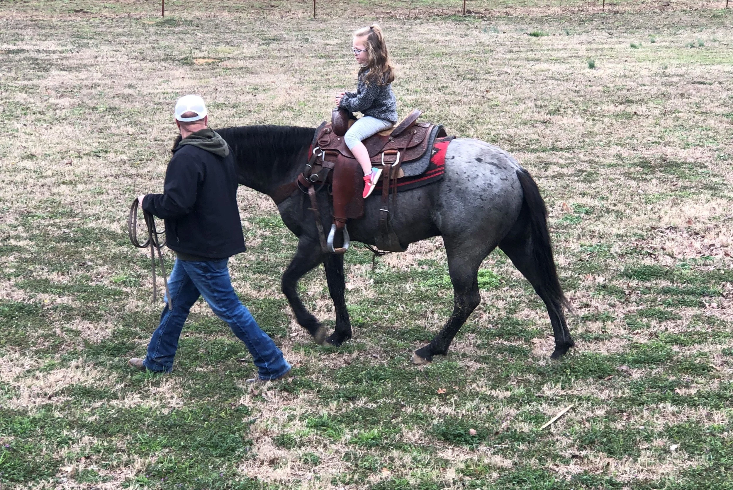 Practices — C3 Cattle Company