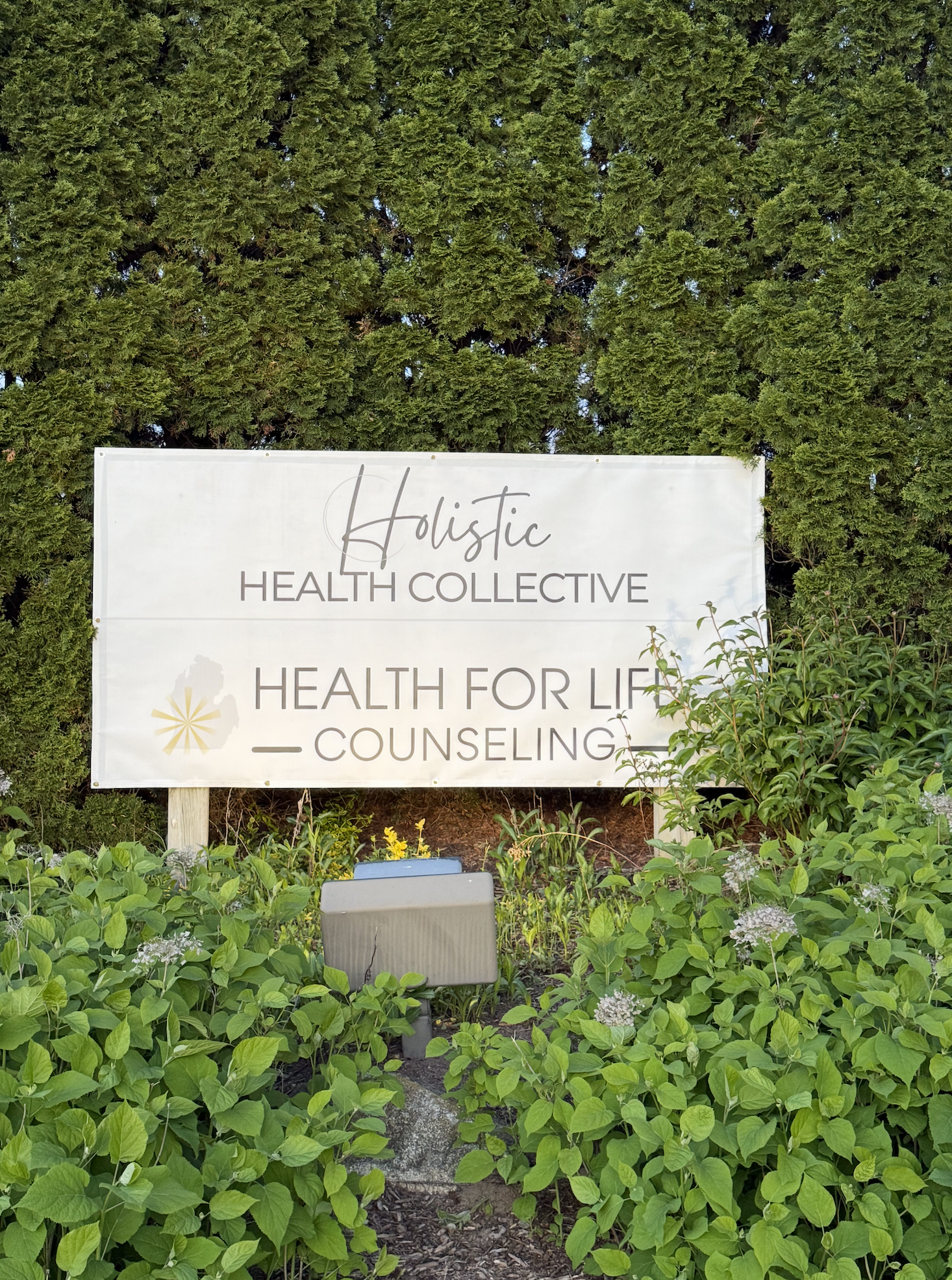 Join Our Collective | Join Our Healing Community – Grow Today ...
